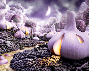 Arta in luna lui Brumarel