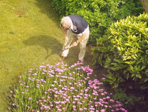 Gradinaritul ne mentine in forma la batranete