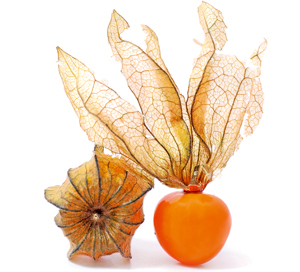 Incan berries, o noua obsesie pentru fructele-minune