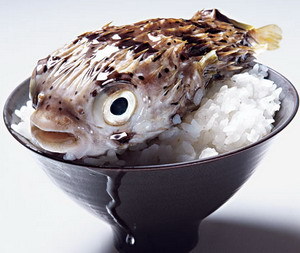 Placeri culinare periculoase: Fugu