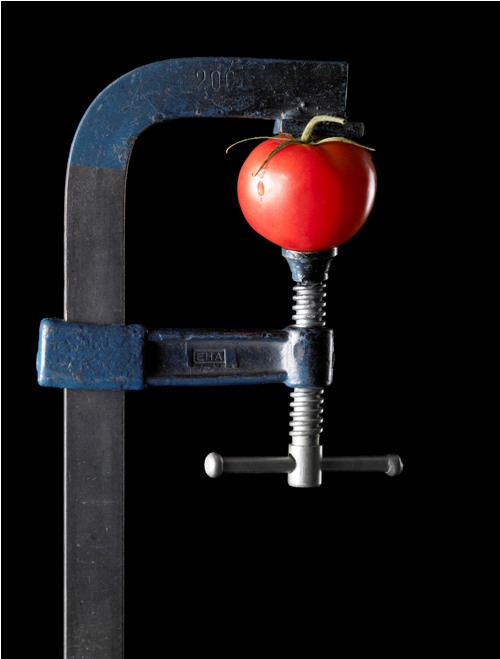 Alimentele modificate genetic