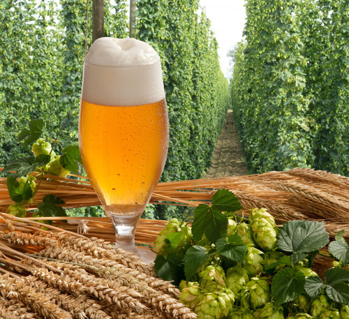 Aniversare de succes pentru un brand cunoscut de bere