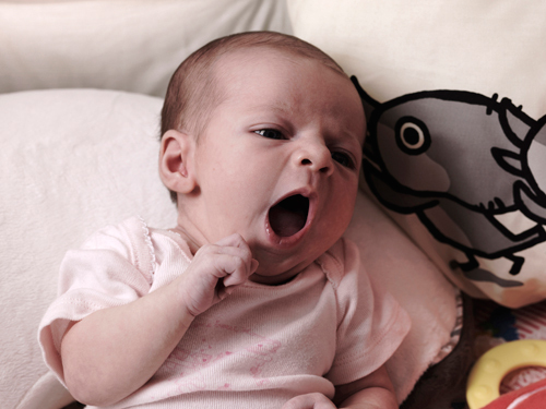 Ce nu ştiai despre…căscat