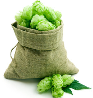 Hamei (Humulus lupulus) - plante medicinale, beneficii și indicații ...