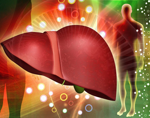 Descoperirea specialiştilor de la Fundeni care ar putea salva vieţile a ...