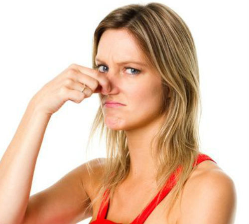 Putem distinge peste 1.000 de miliarde de mirosuri diferite!