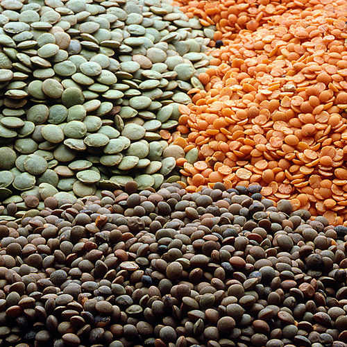 Lintea (Lens culinaris) - plante medicinale, beneficii și indicații ...