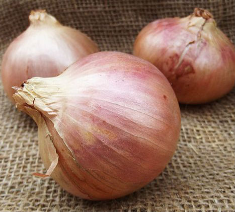 Ceapa, remediul minune pentru creşterea rapidă a părului