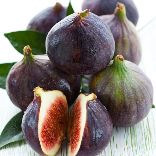 Smochinul (Ficus carica) - plante medicinale, beneficii și indicații ...