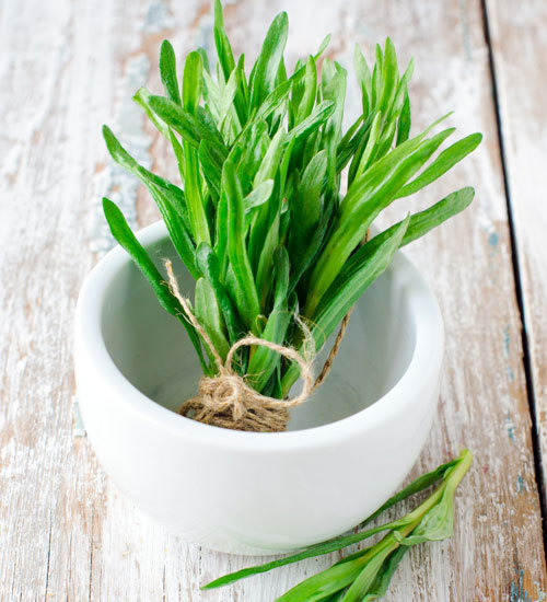 Tarhon (Artemisia dracunculus) - plante medicinale, beneficii și ...