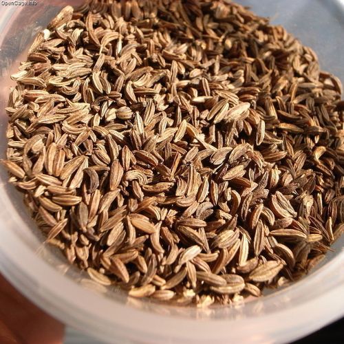 Chimionul (carum carvi) - plante medicinale, beneficii și indicații ...