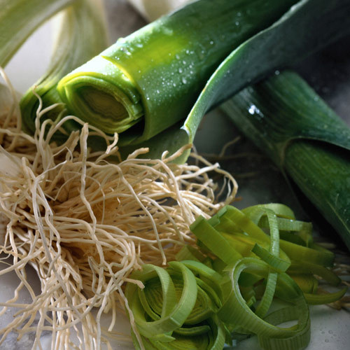 Prazul (Allium porrum) - plante medicinale, beneficii și indicații ...