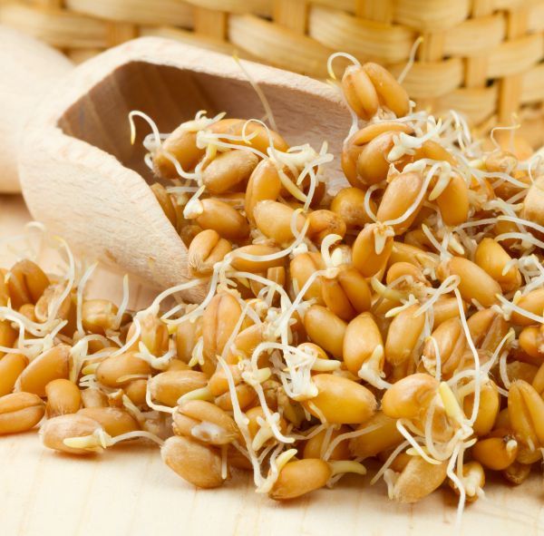 Seminţe germinate şi vlăstare de plante - efecte terapeutice dovedite