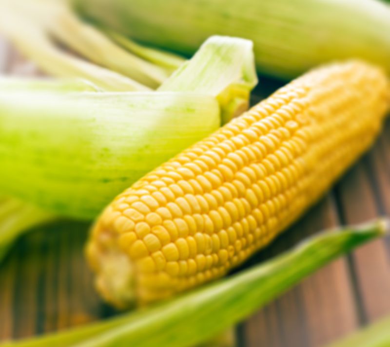 Porumbul, un aliment de nelipsit din dieta noastra