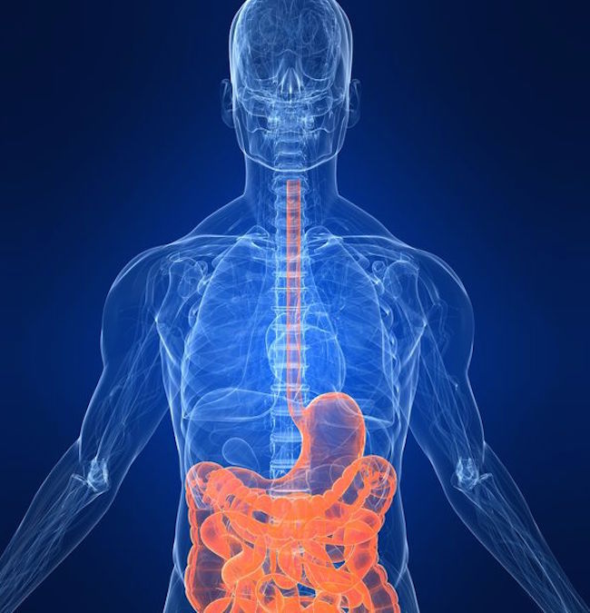 Despre terapia cu fecale: un studiu românesc în desfăşurare INTERVIU