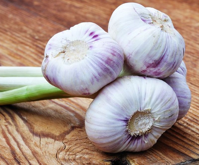 Usturoi pentru sănătate şi mâncăruri aromate