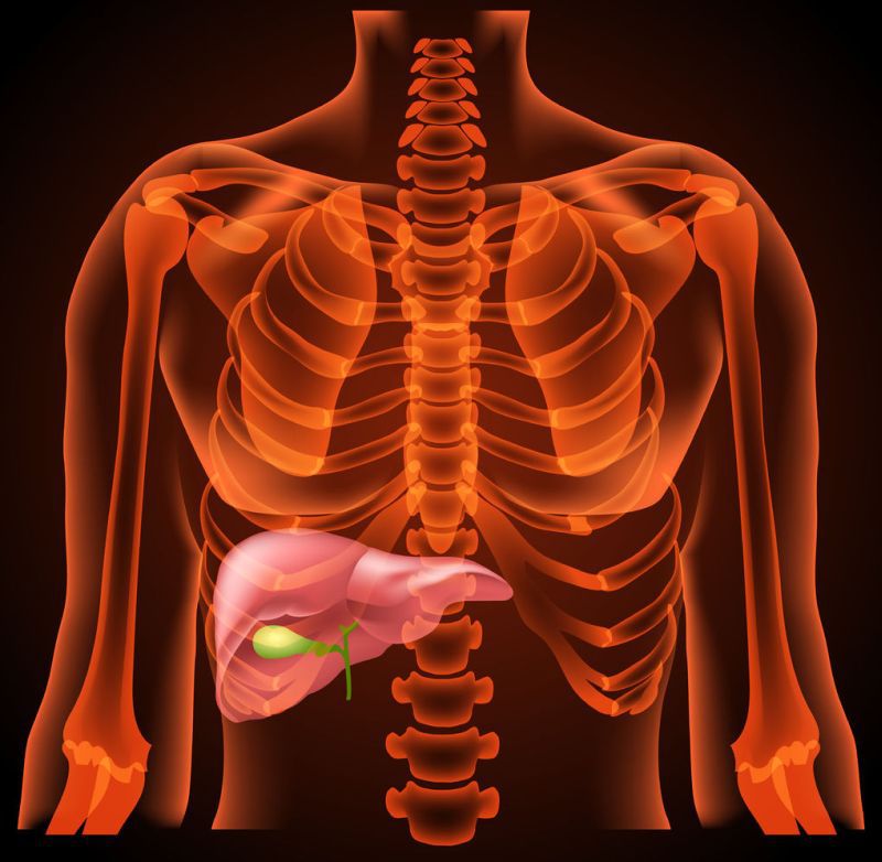 5 obiceiuri care afectează ficatul. Atenție la consumul de dulciuri!
