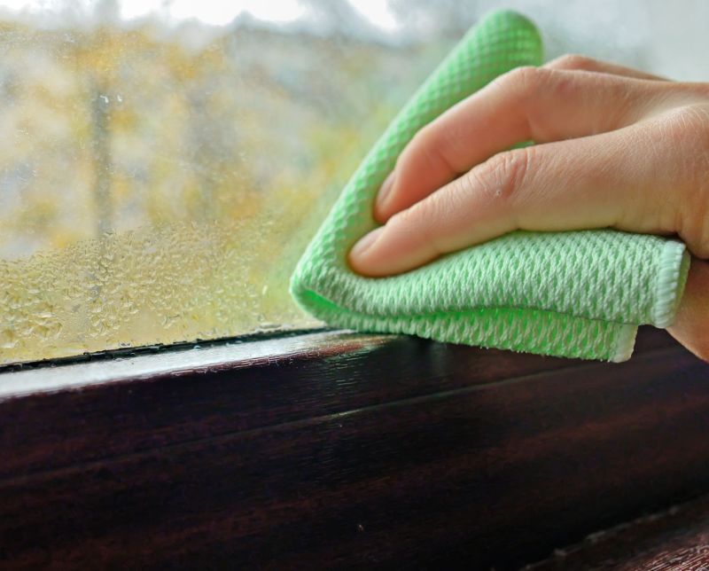 Umiditatea din casă - care sunt valorile normale şi ce putem face ...