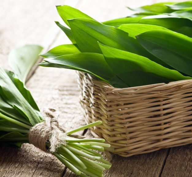 Leurda: planta-vedetă a primăverii!