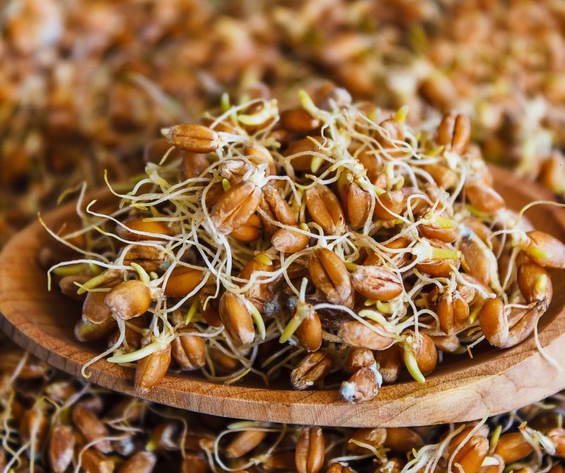 Seminţele încolţite: secretul stării generale de bine!