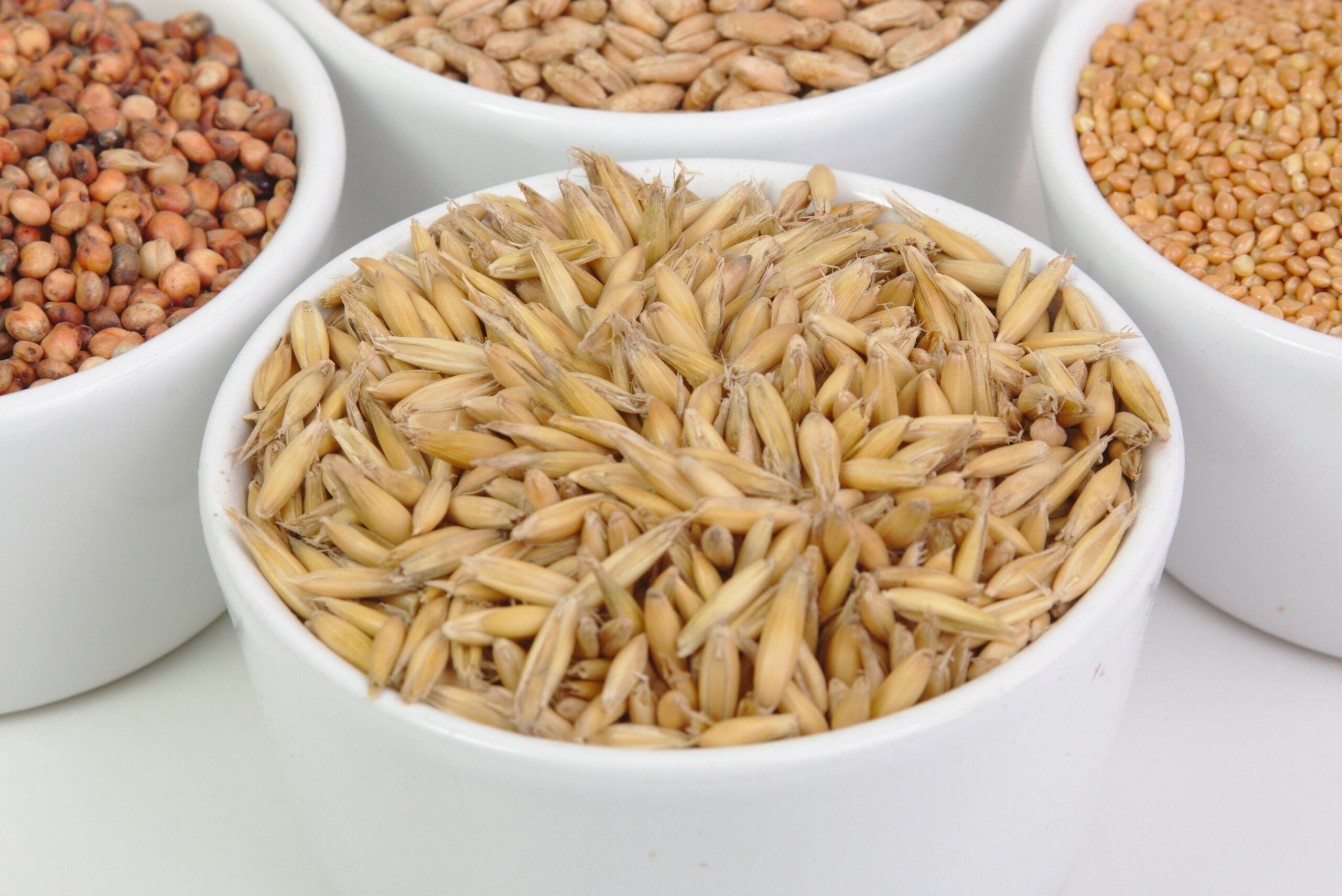 Cele mai bune alimente pentru colon. Ce să mănânci ca să elimini ...