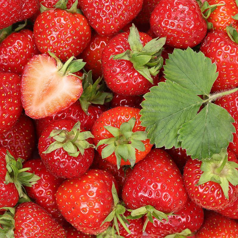 Căpşune - proprietăţi, beneficii şi reţete