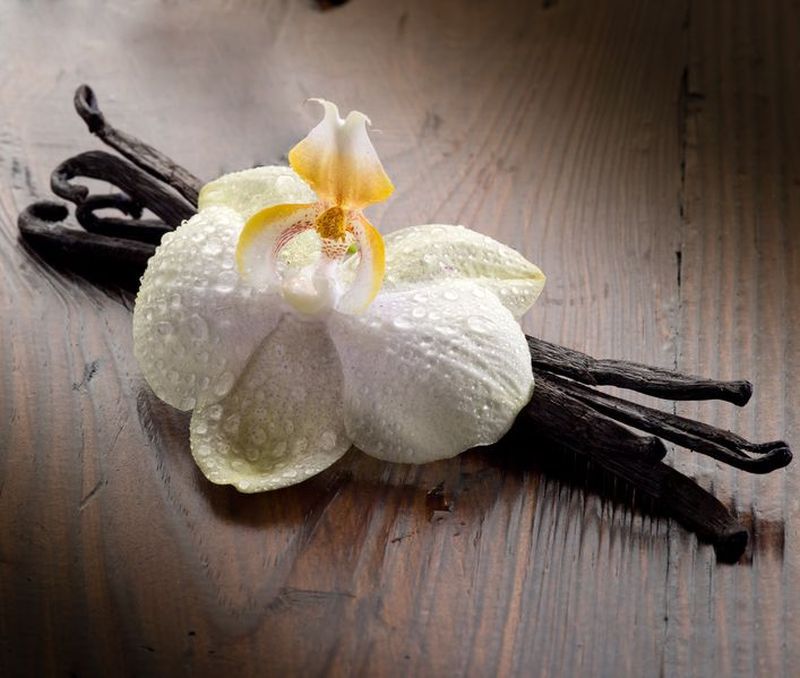 Vanilia (Vanilla Planifolia) - beneficii şi proprietăţi - plante ...