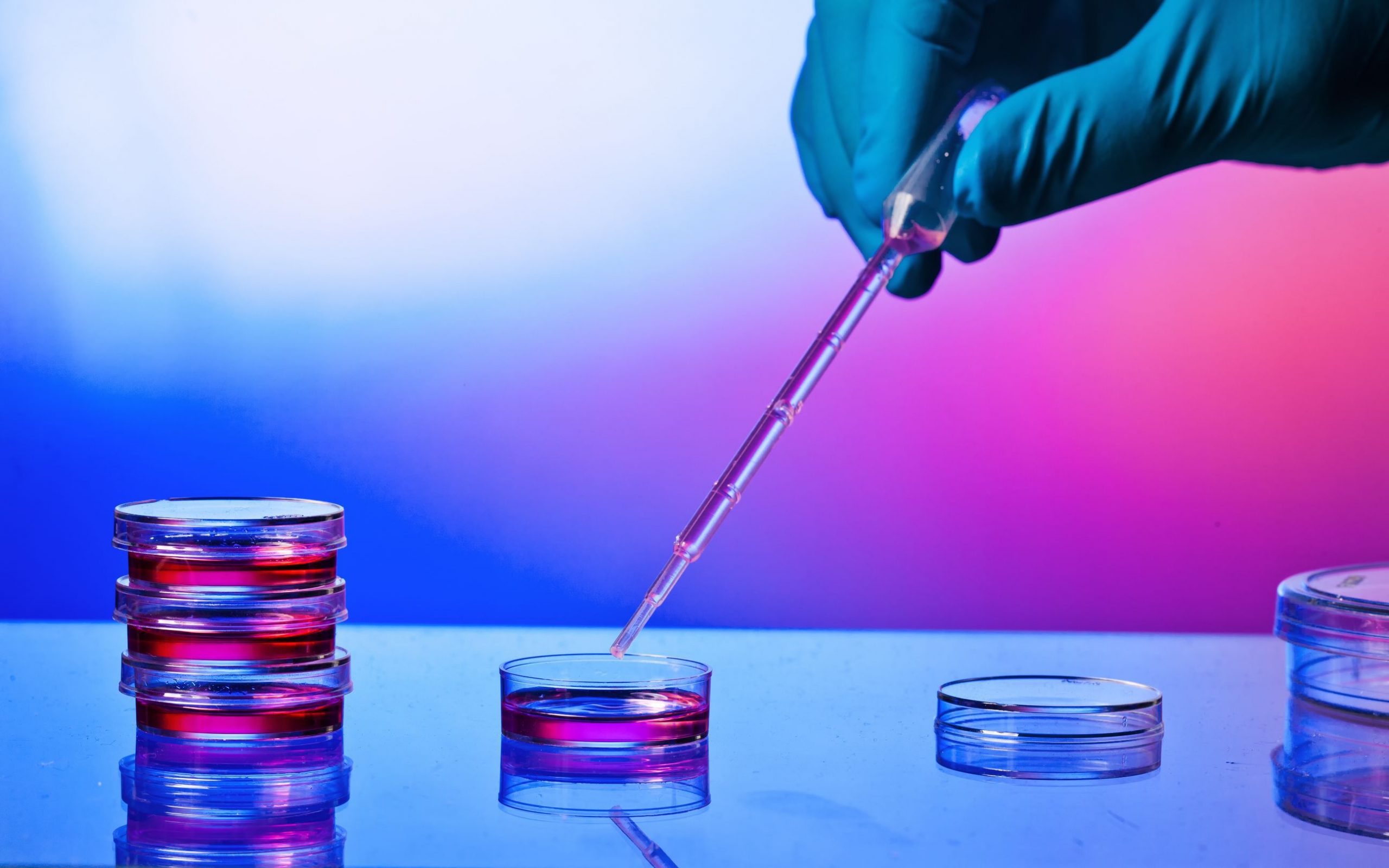 3 chimicale pe care le găseşti la tot pasul. Cum scapi de ele? - VIDEO ...