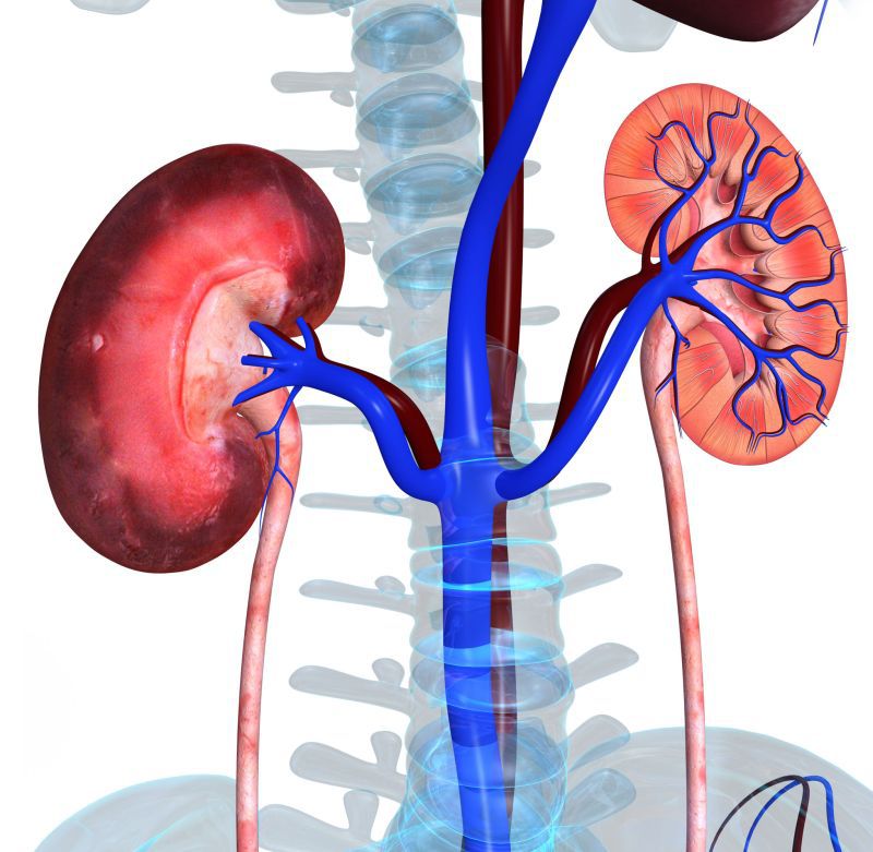 Sumarul de urină: ce presupune şi de ce trebuie făcut