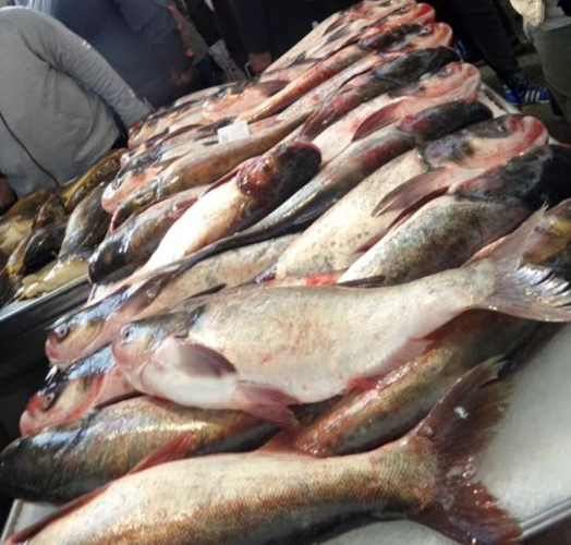 Peşte din Delta Dunării: de unde se poate cumpăra on line