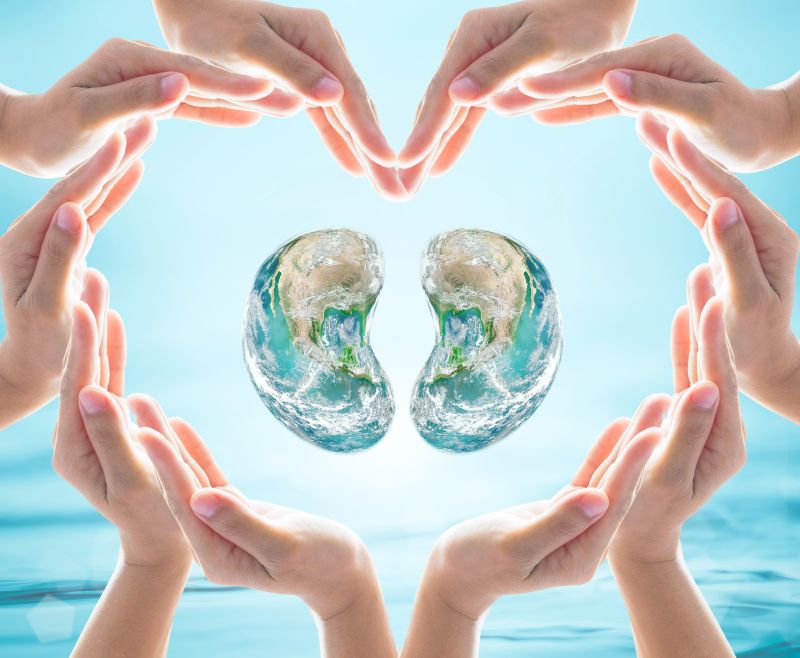 8 sfaturi pentru a evita bolile de rinichi