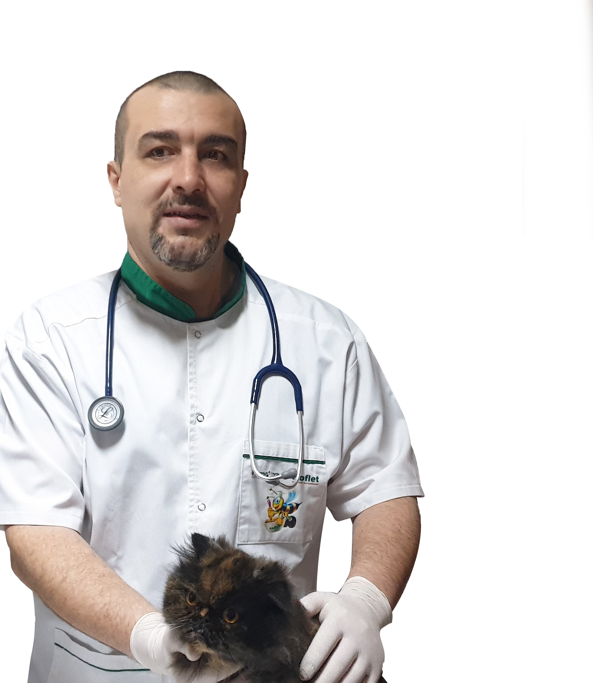 Dr. Aurelian Matache, medic veterinar: copiii care au căţel sunt mai ...