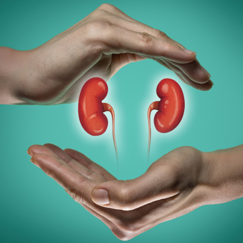 Ce legătură este între bolile de rinichi şi hipertensiunea arterială?