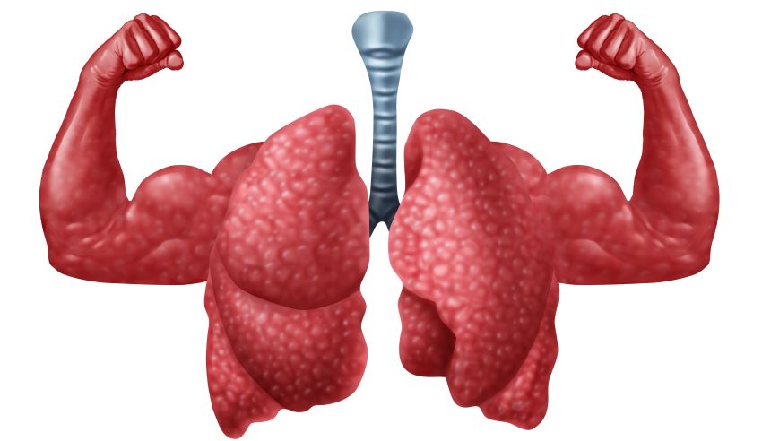 Exerciţii pentru plămâni - cum să respiri corect, tehnici de respirație