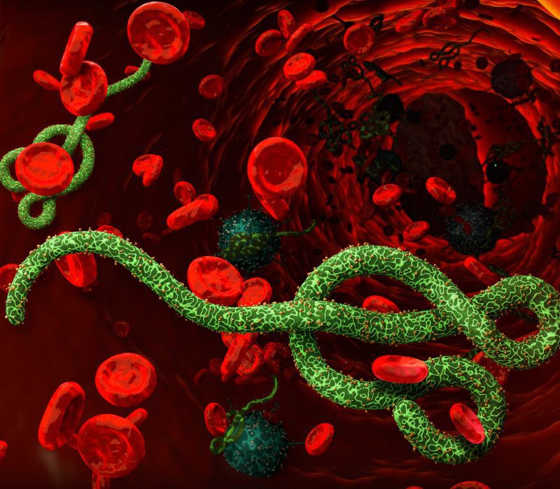 Ce trebuie să ştii despre virusul Ebola: simptome, transmitere, manifestare