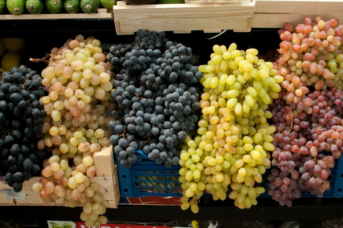 Cât de sănătoși sunt strugurii negri la micul dejun! Printre ...