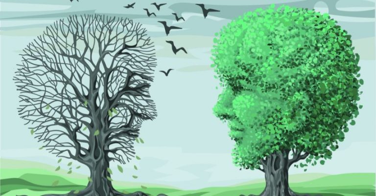 Testul arborelui: interpretare psihologică - CSID: Ce se întâmplă Doctore?