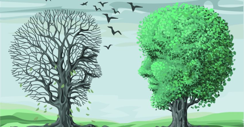 Testul arborelui: interpretare psihologică - CSID: Ce se întâmplă Doctore?