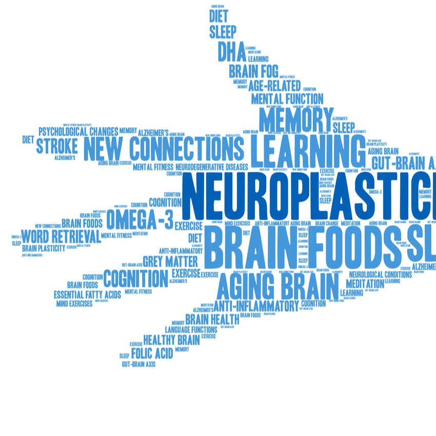 Neuroplasticitatea creierului: studiu recent