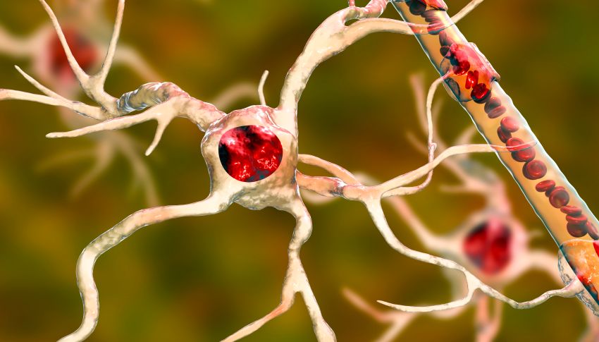 Astrocitele, „stelele” din creier cu rol major în prevenirea depresiei