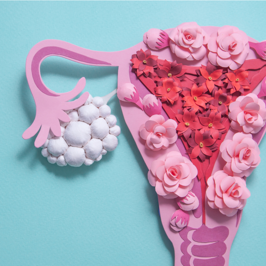 Chistul glandelor Bartholin: simptome, cauze, tratament