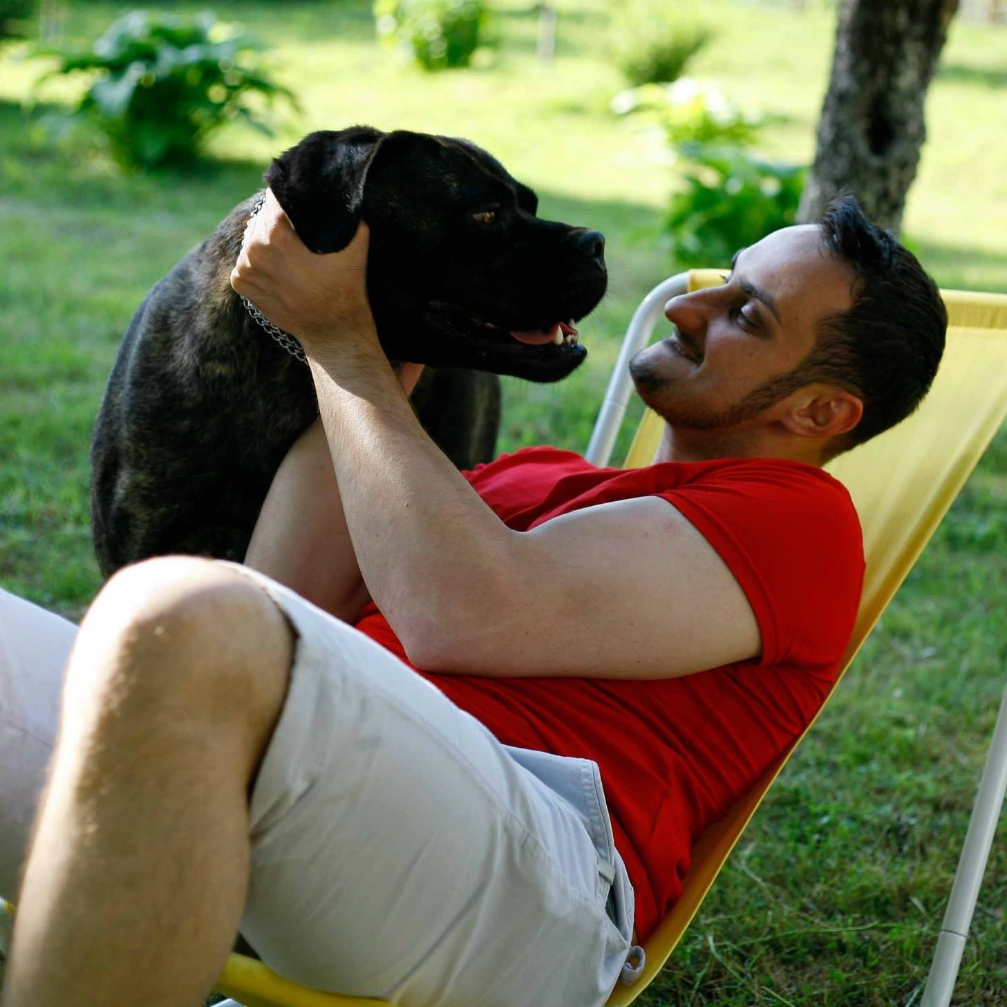 De la șofer de ambulanță la vlogger de succes. Povestea lui Alex Vior ...