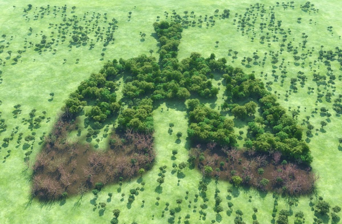 Semnal de ALARMĂ. 55% dintre pacienții care au murit la doi ani după ...