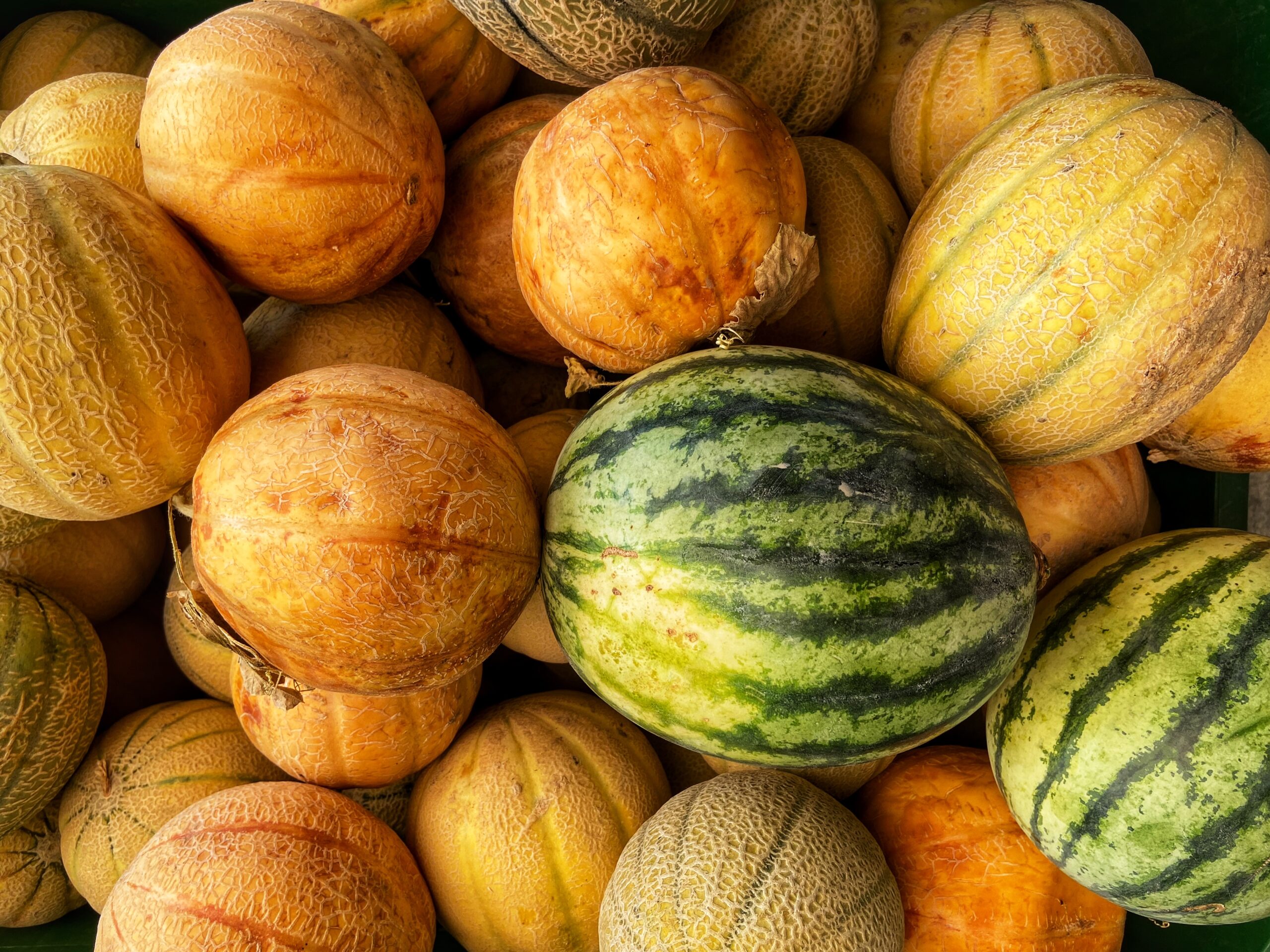 Pepene roșu sau galben? Nutriționistul ne spune care pepene îngrașă mai ...