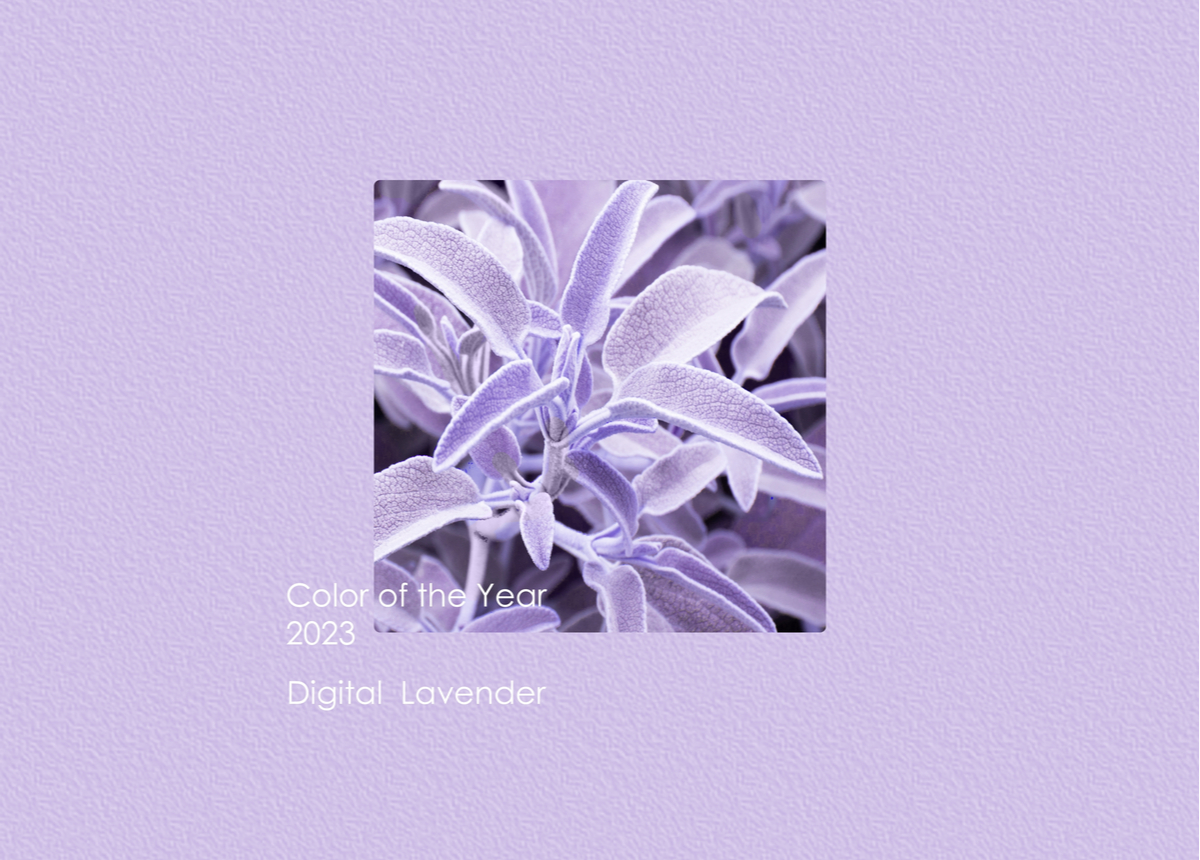 Lavanda, culoarea anului 2023. Ce simbolizează această nuanță și ce ...