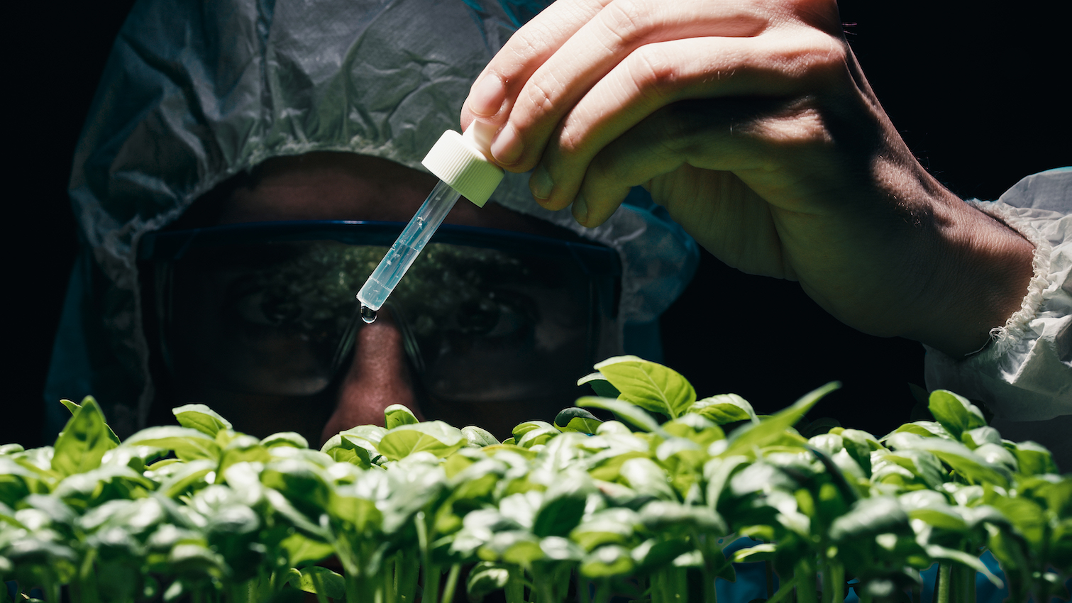 „Chimicalele eterne” perturbă procesele biologice la copii: studiu