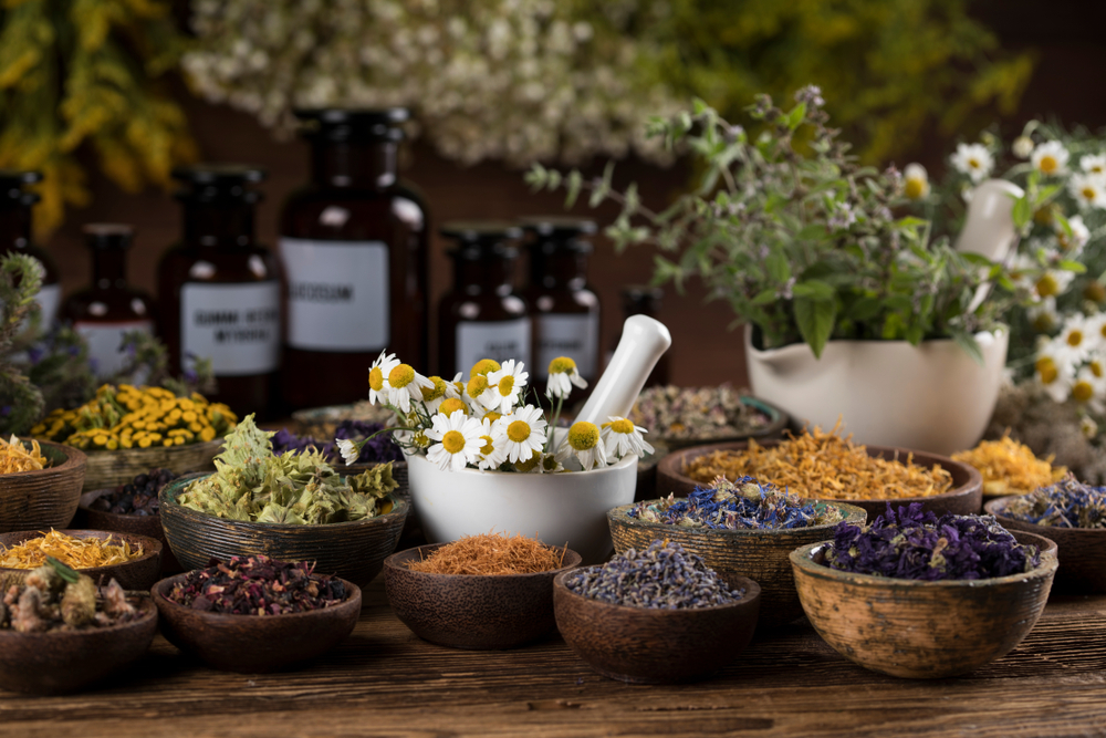 Top 5 plante medicinale pentru o sănătate mai bună