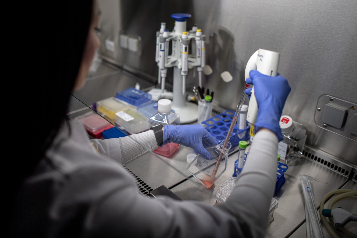 Terapia cu celule stem: o abordare inovatoare pentru tratarea bolilor