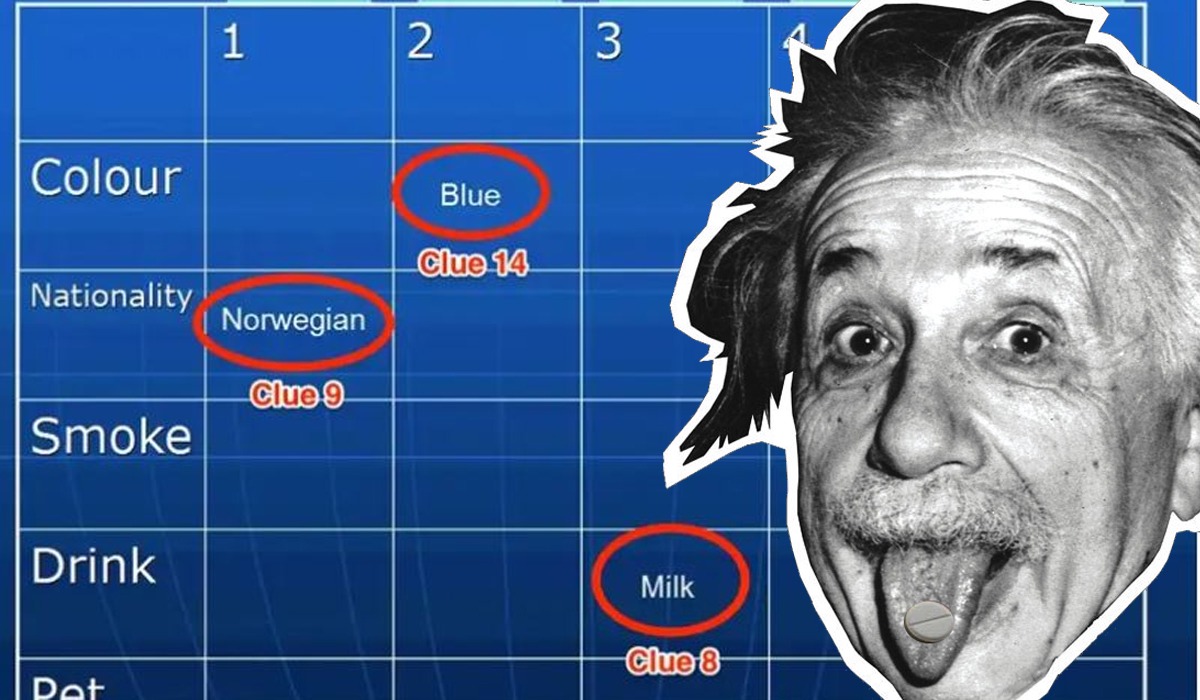 Testul IQ al lui Albert Einstein | Al cui e peștele? Doar geniile ...