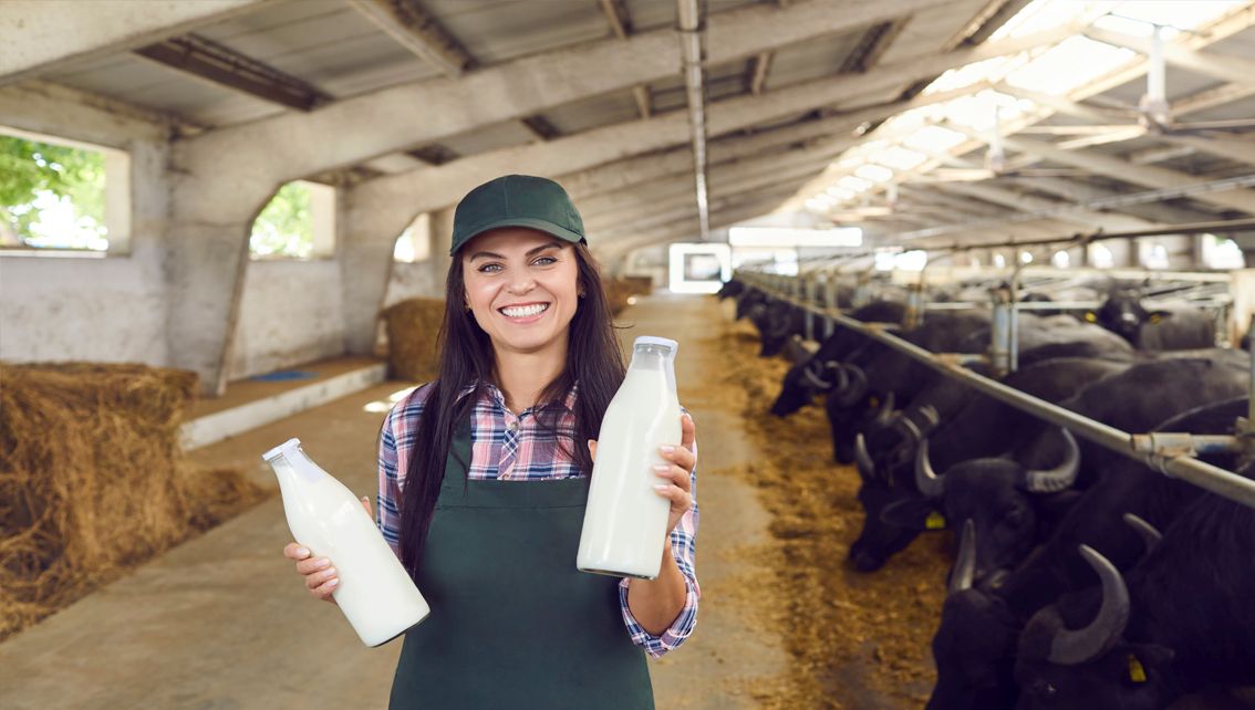 Laptele mai bogat în proteine și cu mai puțin colesterol decât laptele ...
